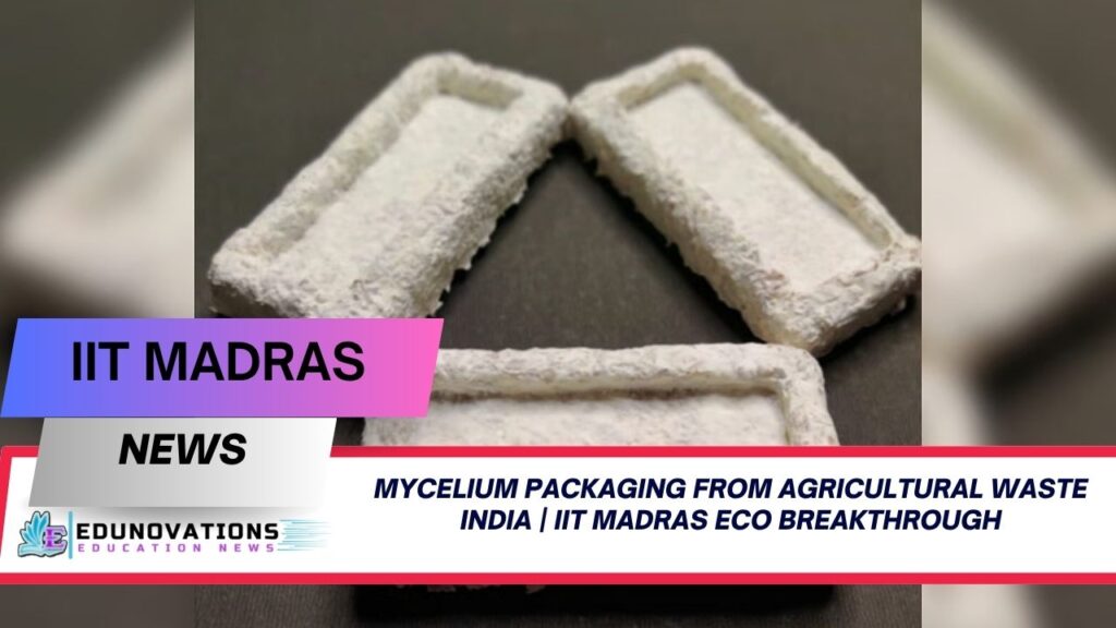 Mycelium Packaging From Agricultural Waste India | IIT Madras Eco ...